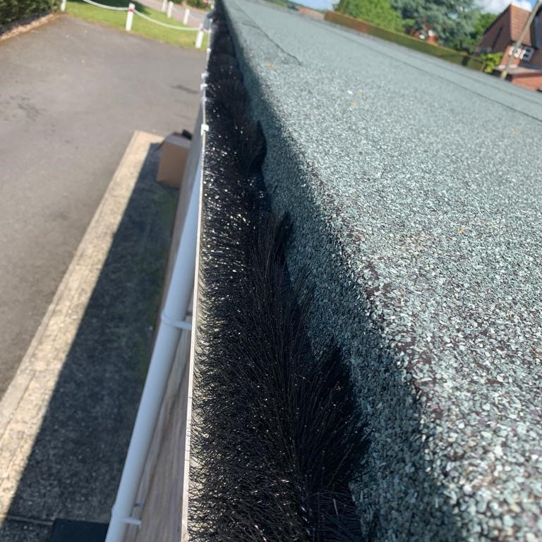 Pest Proofing | Pest Access Control