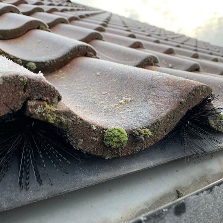 Pest Proofing | Pest Access Control