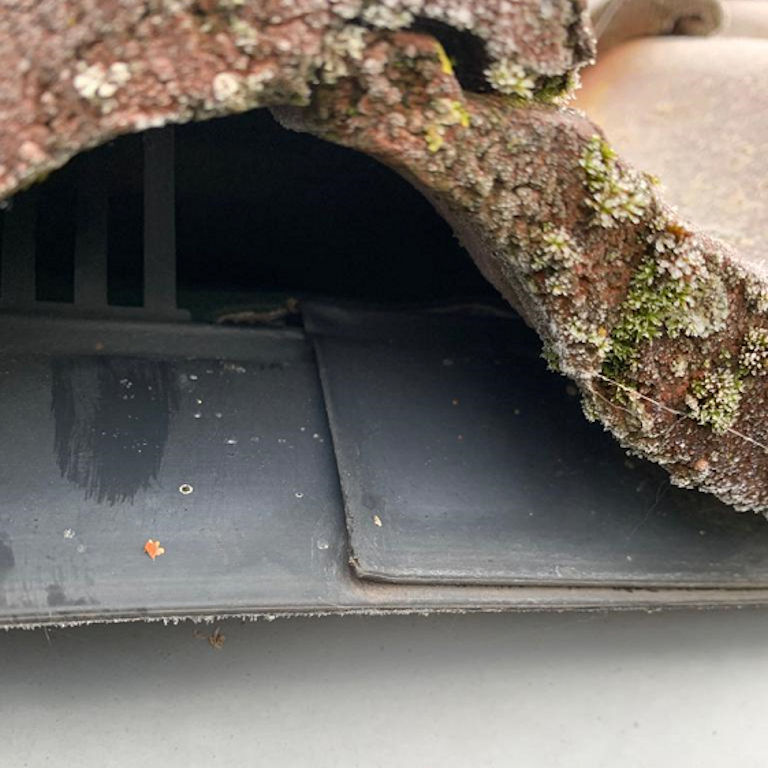 Pest Proofing | Pest Access Control